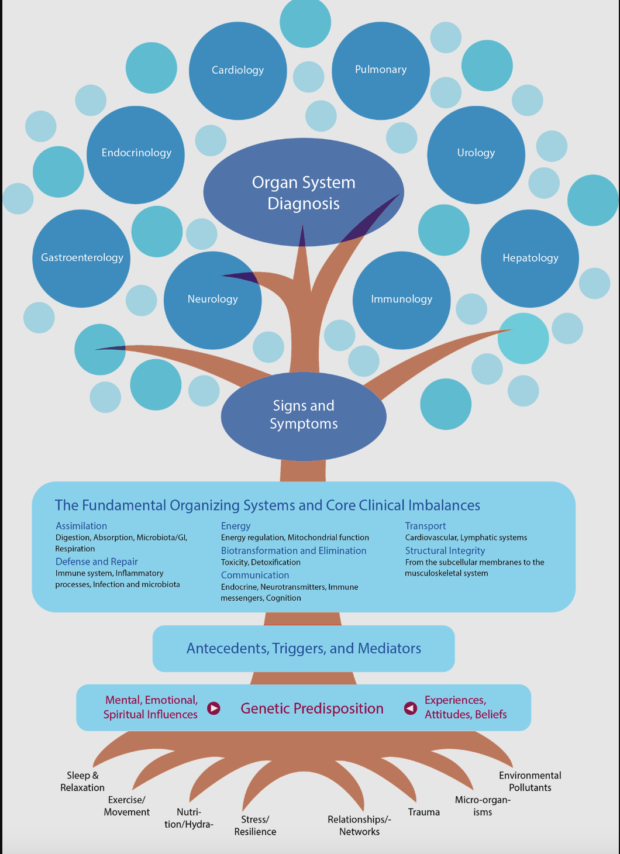 Functional Health Solutions, primary care, functional medicine